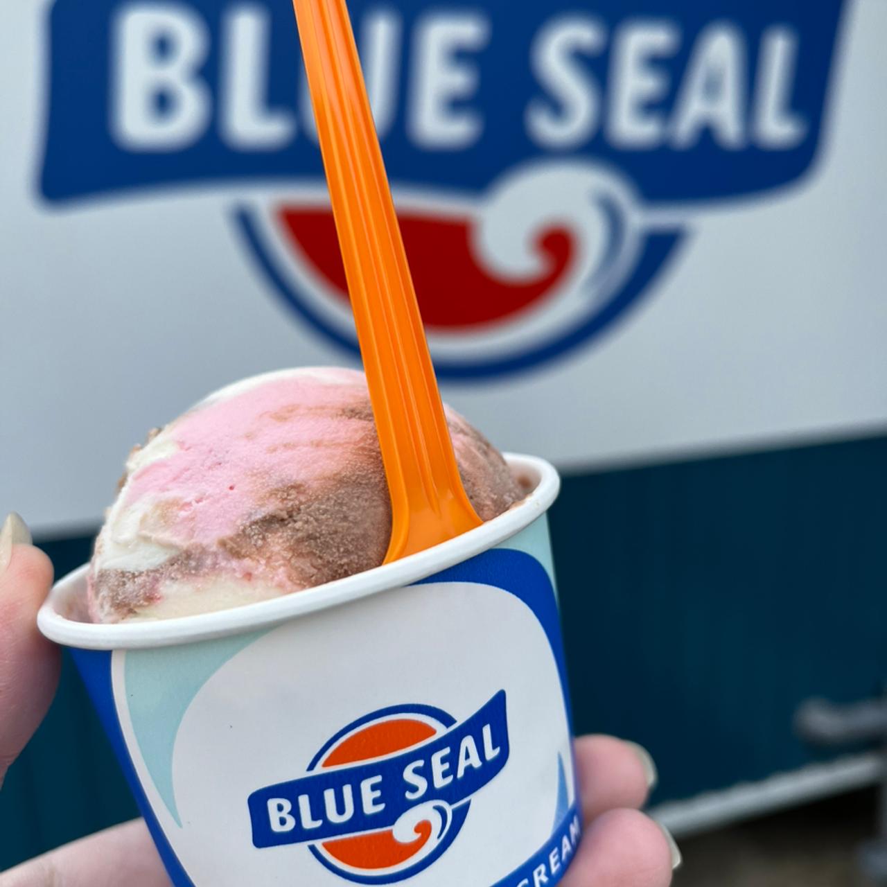 アイス(BLUE SEAL ICE CREAM)の口コミ一覧 | おいしい！が増えるグルメアプリ「SARAH」