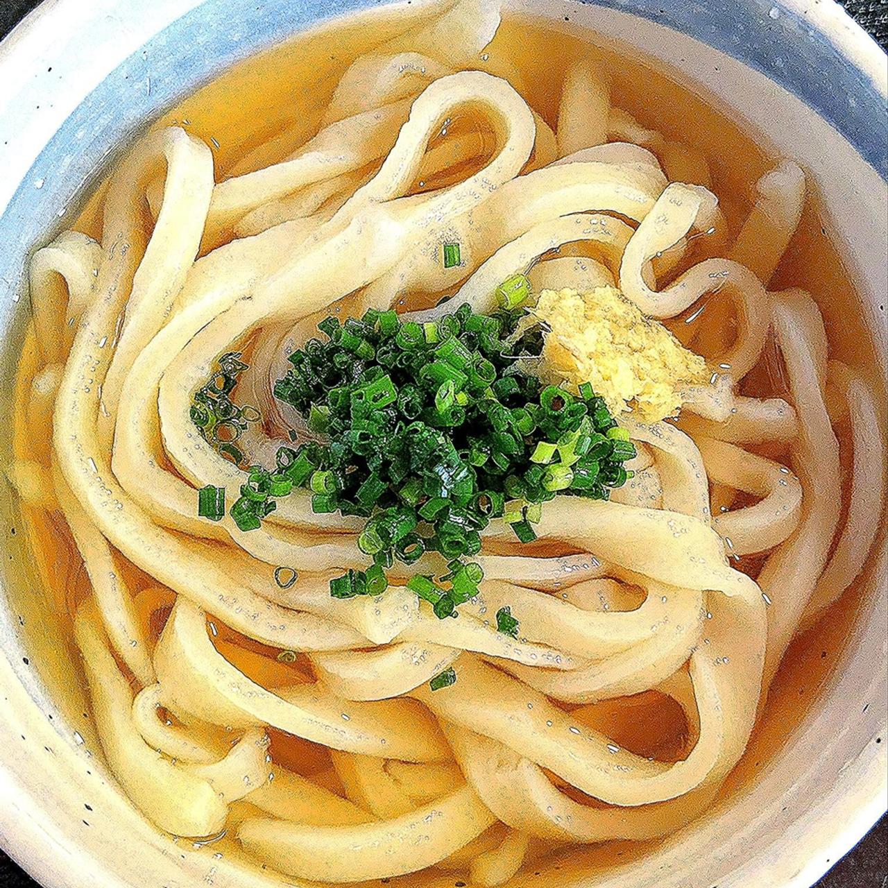 ひやかけ(手打ちうどん つくつくぼうし)の口コミ一覧 | おいしい！が増えるグルメアプリ「SARAH」